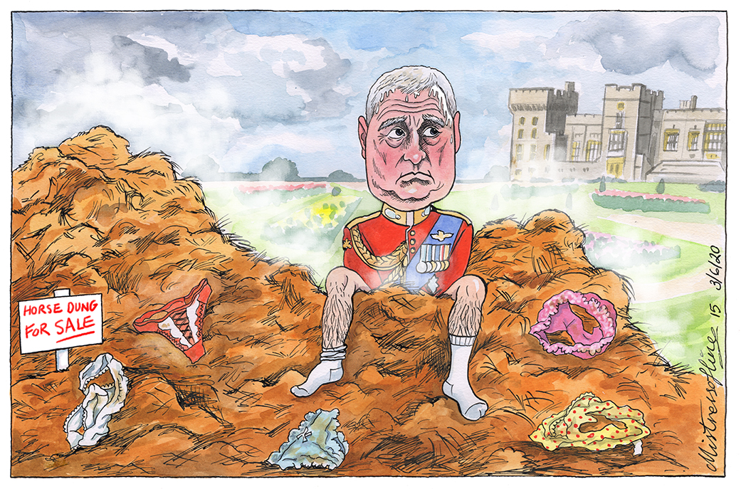 Early Retirement for Prince Andrew – Bella Caledonia