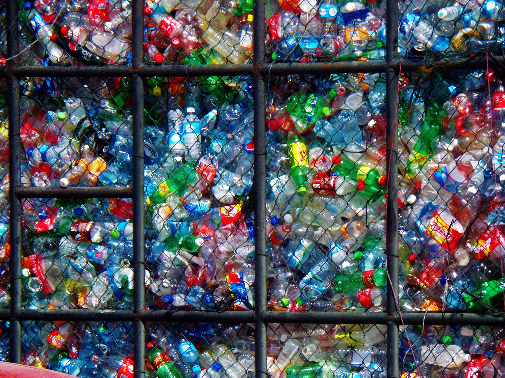 Rapid Unscheduled Disassembly – Bella Caledonia