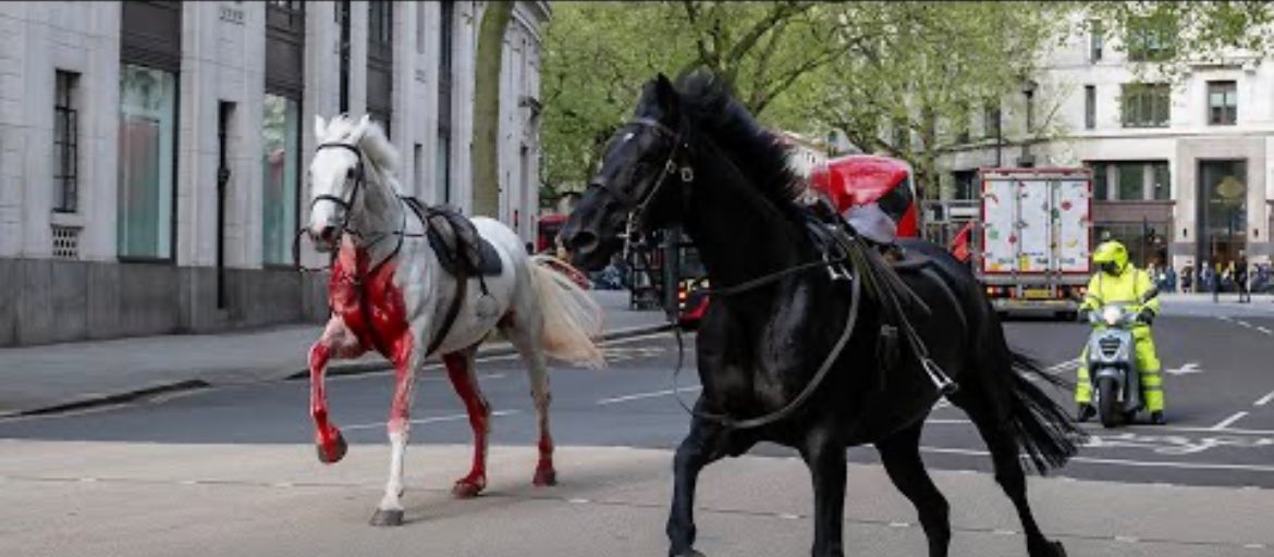 All the King’s Horses – Bella Caledonia