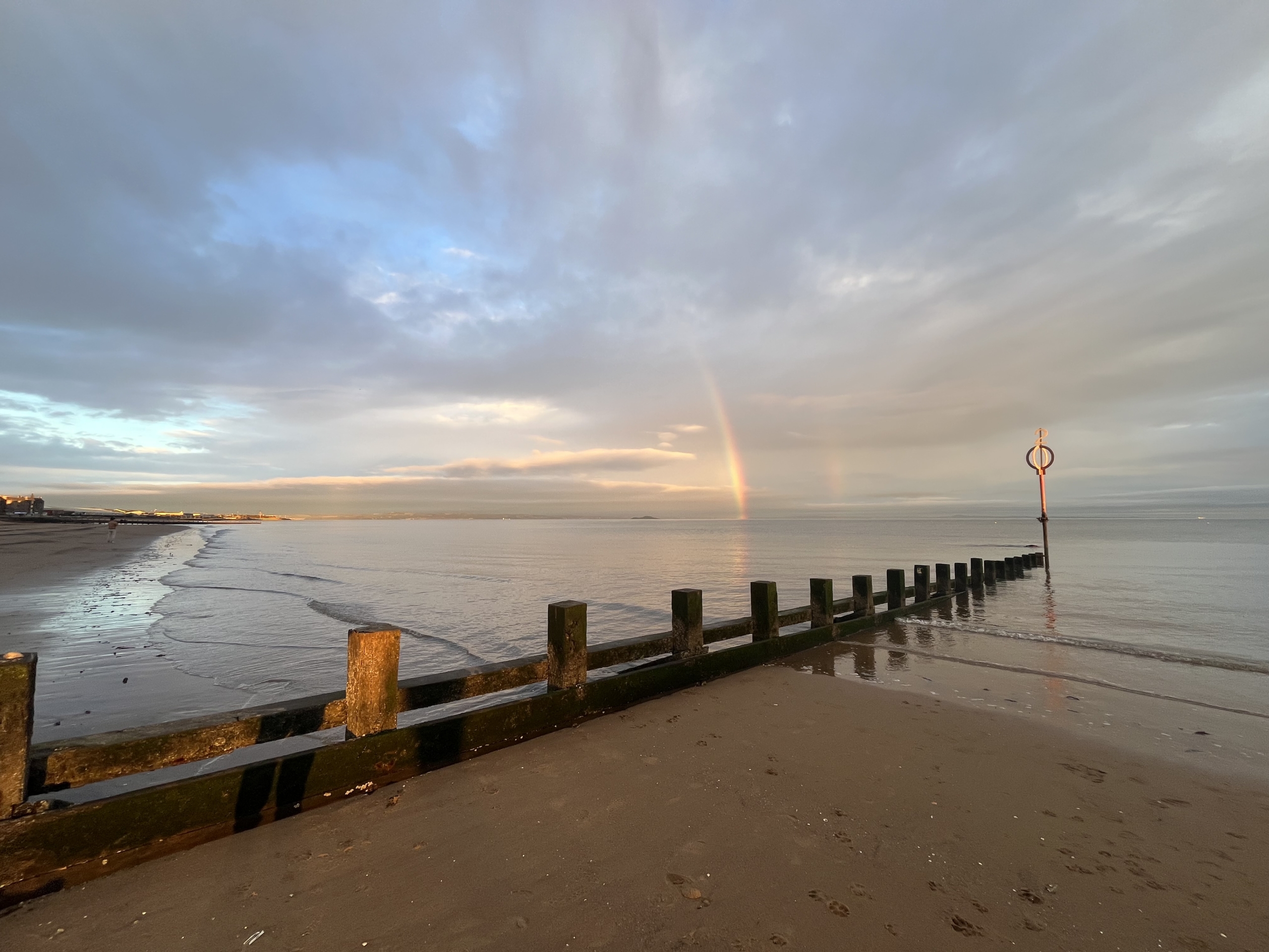 Roots to Resilience – Bella Caledonia