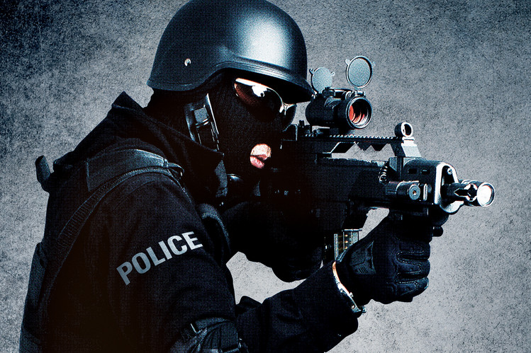 Trump Is Building His Own Paramilitary Force – Bella Caledonia